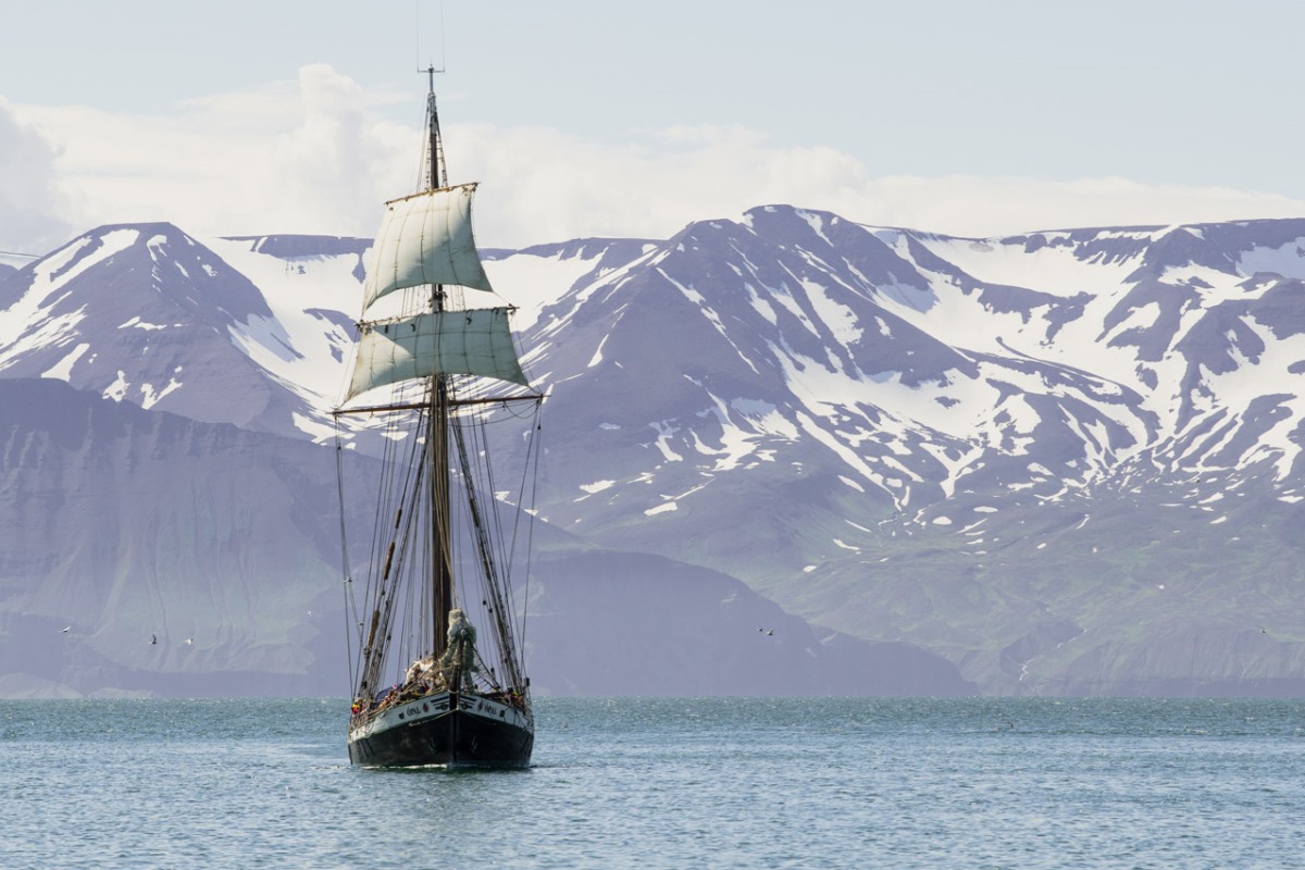 Opal – award-winning electric sail boat, 2015 - esoro.ch